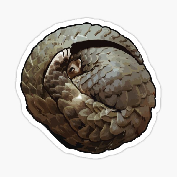 "Pangolin" Sticker for Sale by blueshore | Redbubble