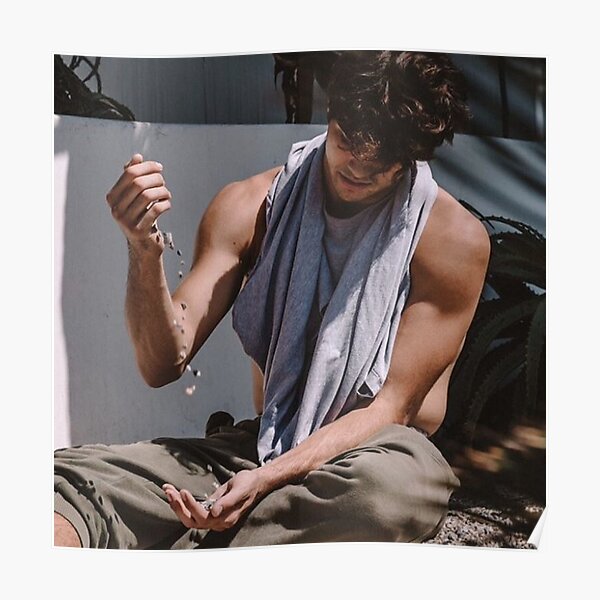 "Noah Centineo" Poster for Sale by rebeccashilds9 | Redbubble