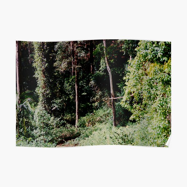 "The Bush - a Photomatix HDR experiment." Poster by hugh023 | Redbubble