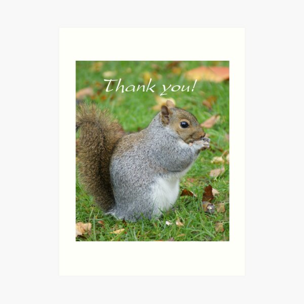 "Thank you card. Gray squirrel saying 'Thank you'" Art Print for Sale ...
