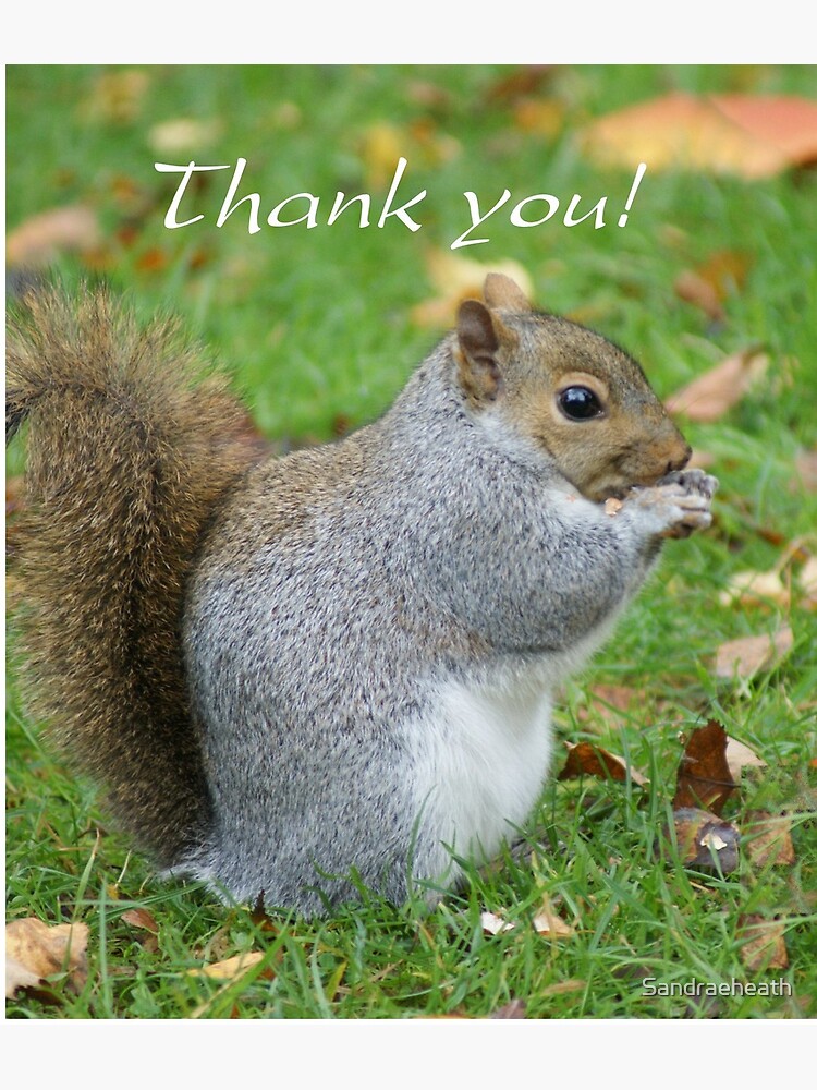 "Thank you card. Gray squirrel saying 'Thank you'" Art Print for Sale ...