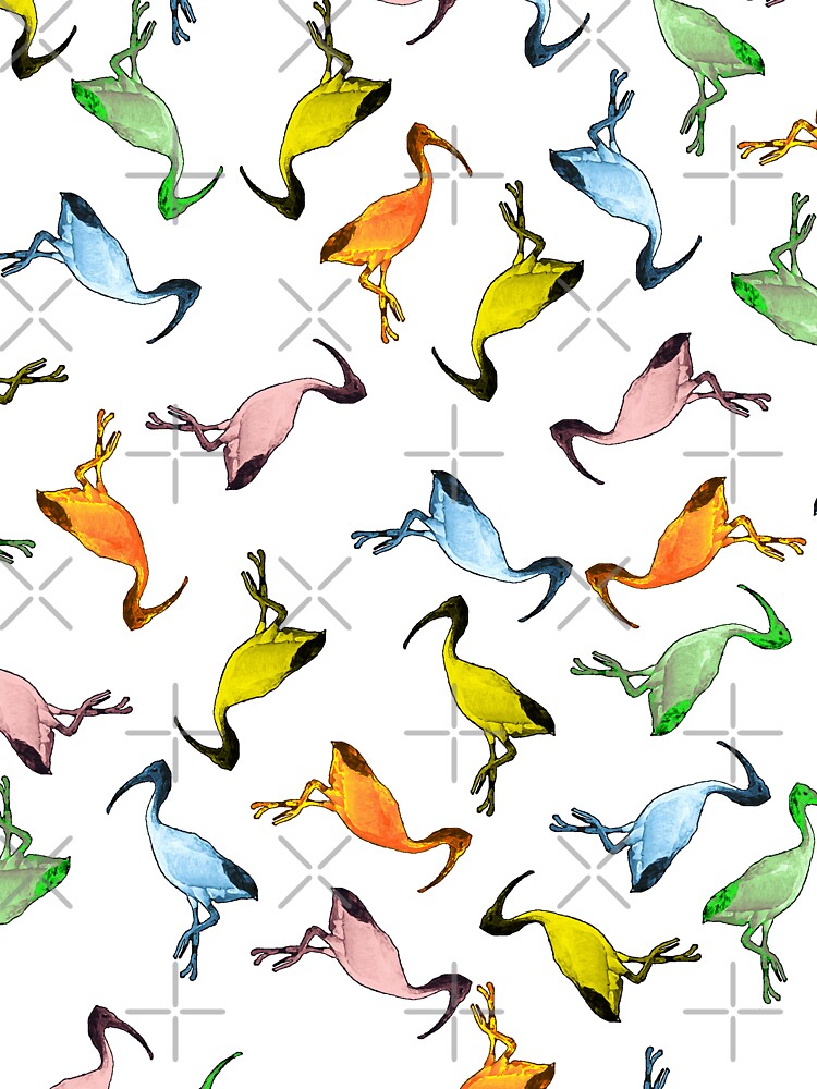 "THE BIN CHICKEN COLONY CLEAR BACKGROUND RAINBOW BIN CHICKENS " Baby ...