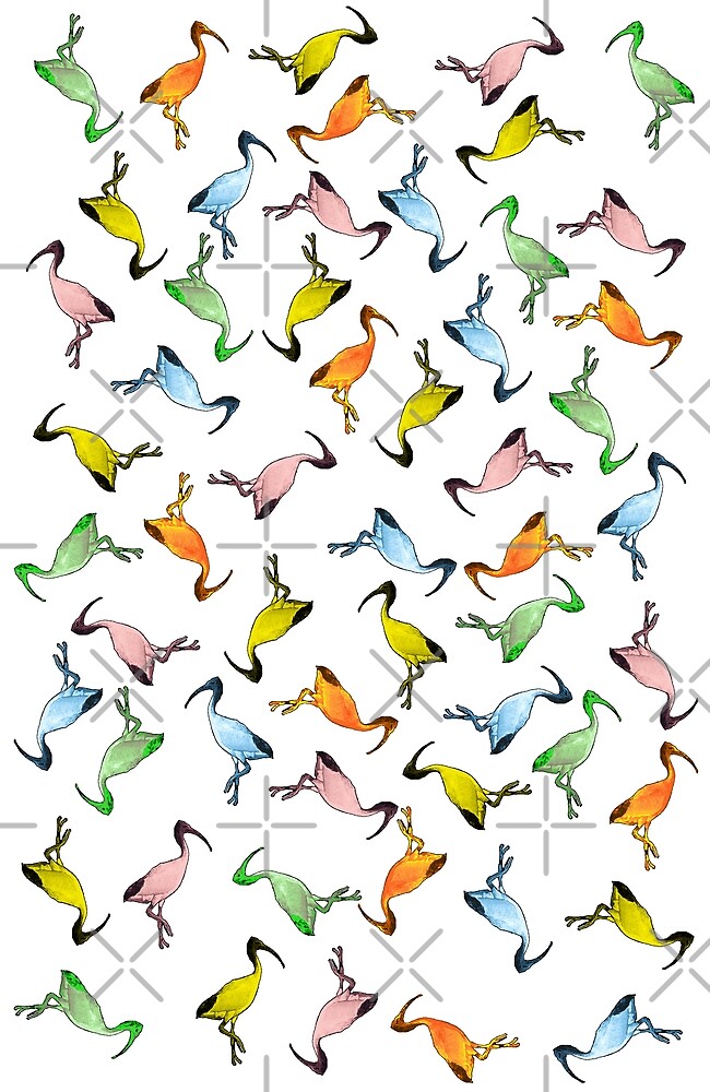 "THE BIN CHICKEN COLONY CLEAR BACKGROUND RAINBOW BIN CHICKENS " by ...