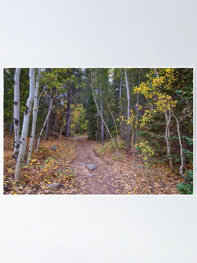 "Trailhead" Poster for Sale by mrbo | Redbubble