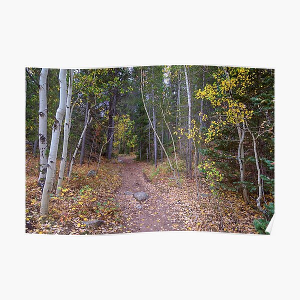 "Trailhead" Poster for Sale by mrbo | Redbubble