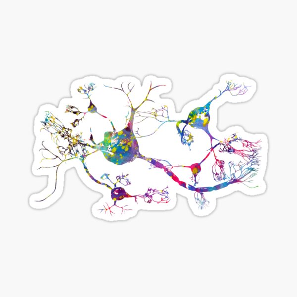 " Neurons and nervous system" Sticker for Sale by erzebetth | Redbubble