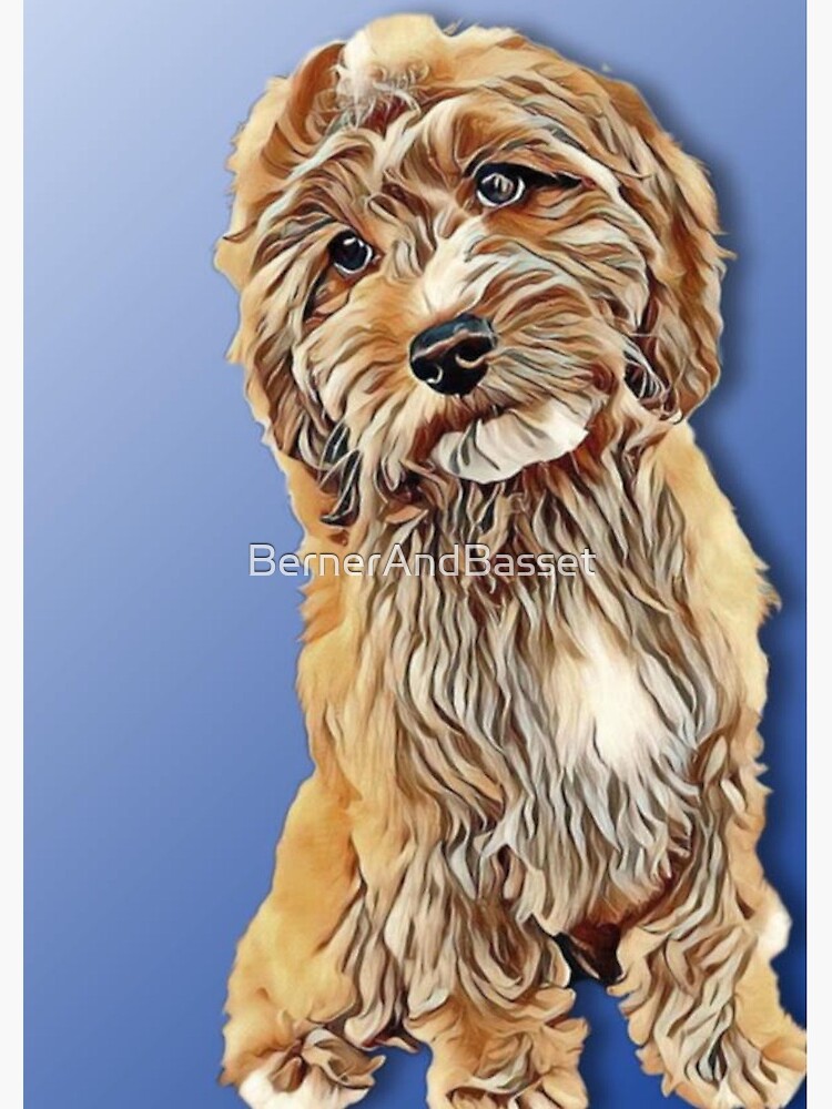 "Cockapoo Pop Art - Buff und Blau" Spiralblock von BernerAndBasset ...