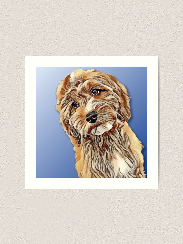 "Cockapoo Pop Art - Buff and Blue" Art Print for Sale by ...