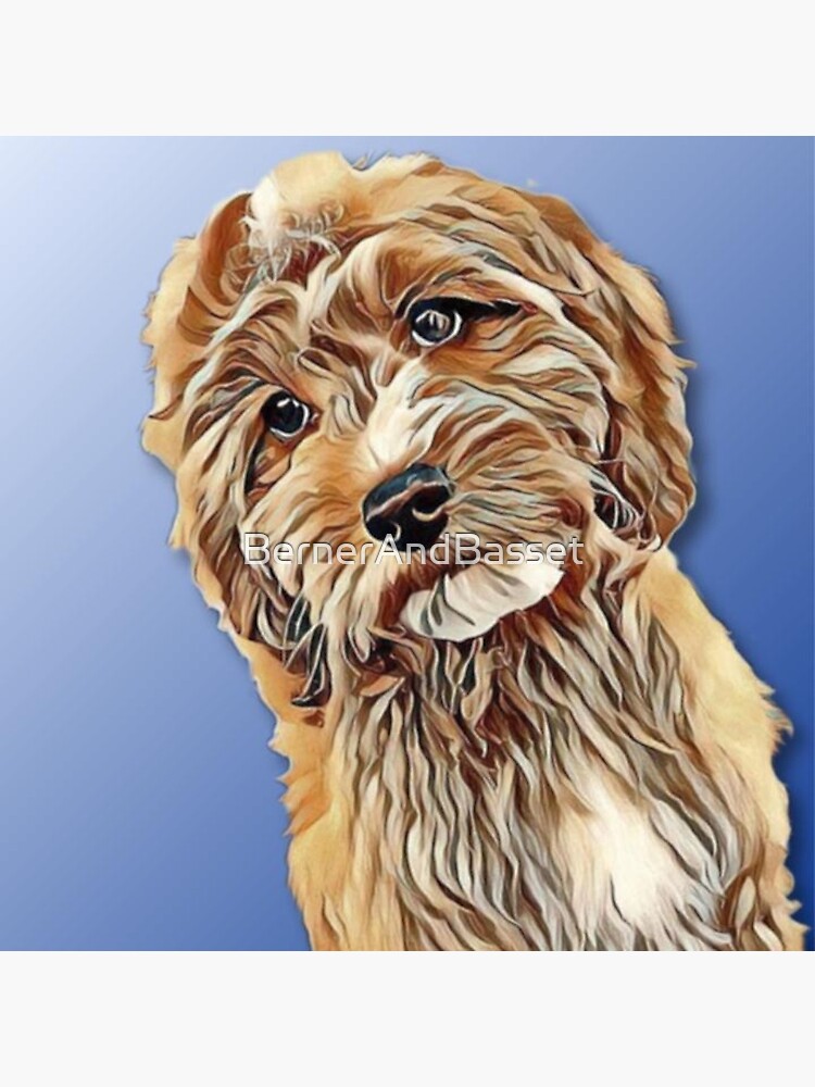 "Cockapoo Pop Art - Buff and Blue" Art Print for Sale by ...