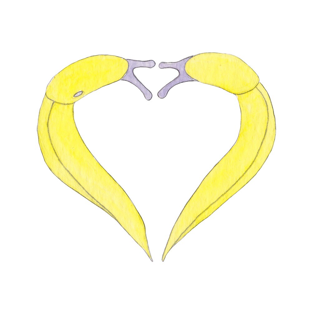 "I heart banana slugs" by lifescience | Redbubble