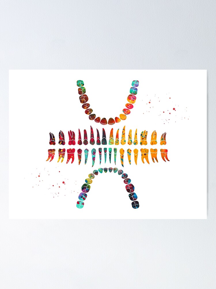 " Teeth,human teeth" Poster by erzebetth | Redbubble