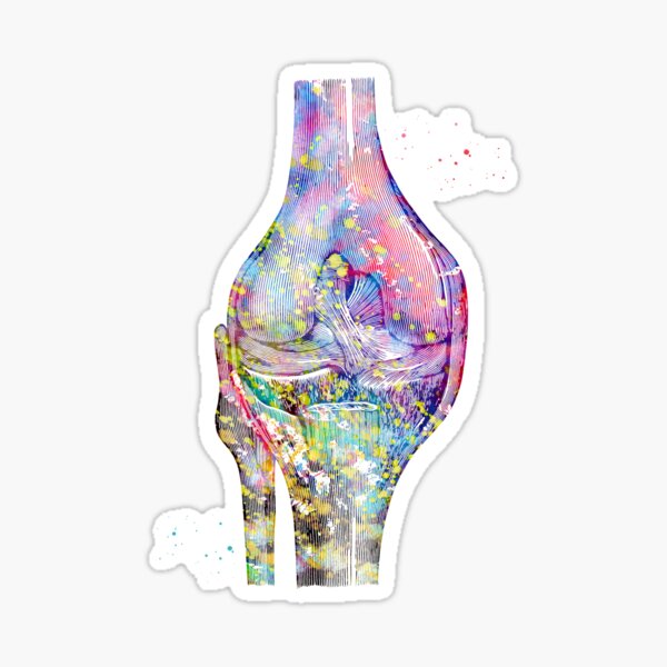 "Knee bone" Sticker for Sale by erzebetth | Redbubble