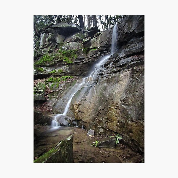 Cunard Merch & Gifts for Sale | Redbubble