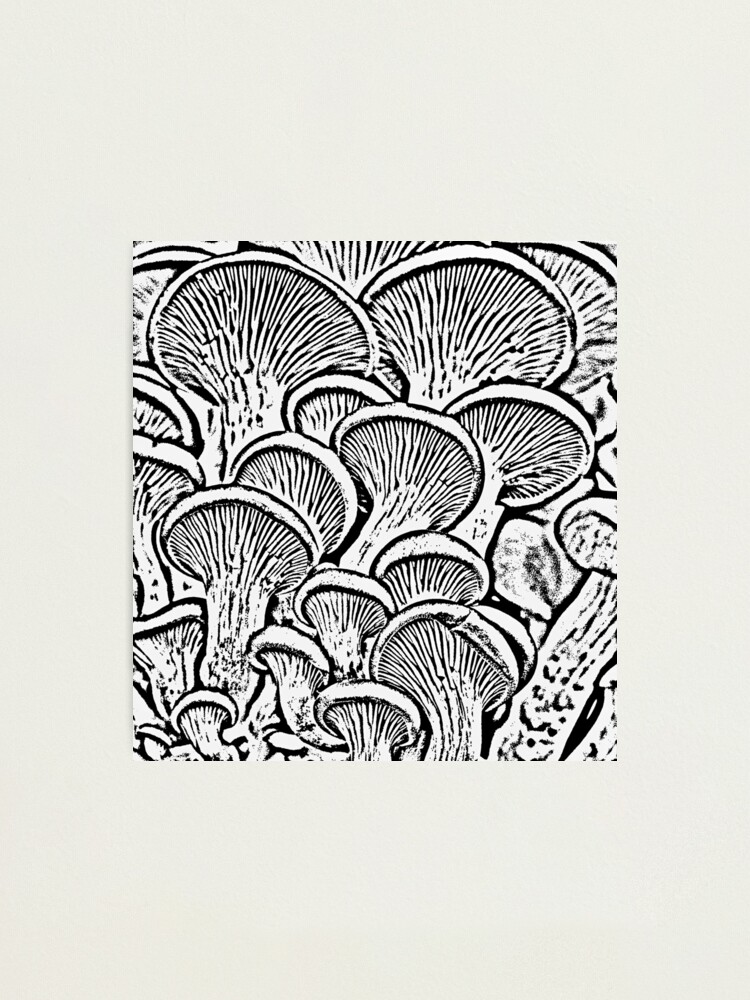 "Shroom Zoom" Photographic Print by tlvee | Redbubble