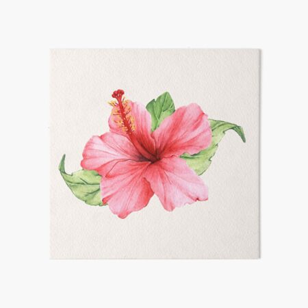 "Pink Watercolor Hibiscus Flower" Art Board Print for Sale by ...