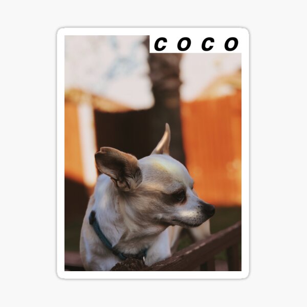 "Remembering Coco" Sticker by AldeBenii | Redbubble
