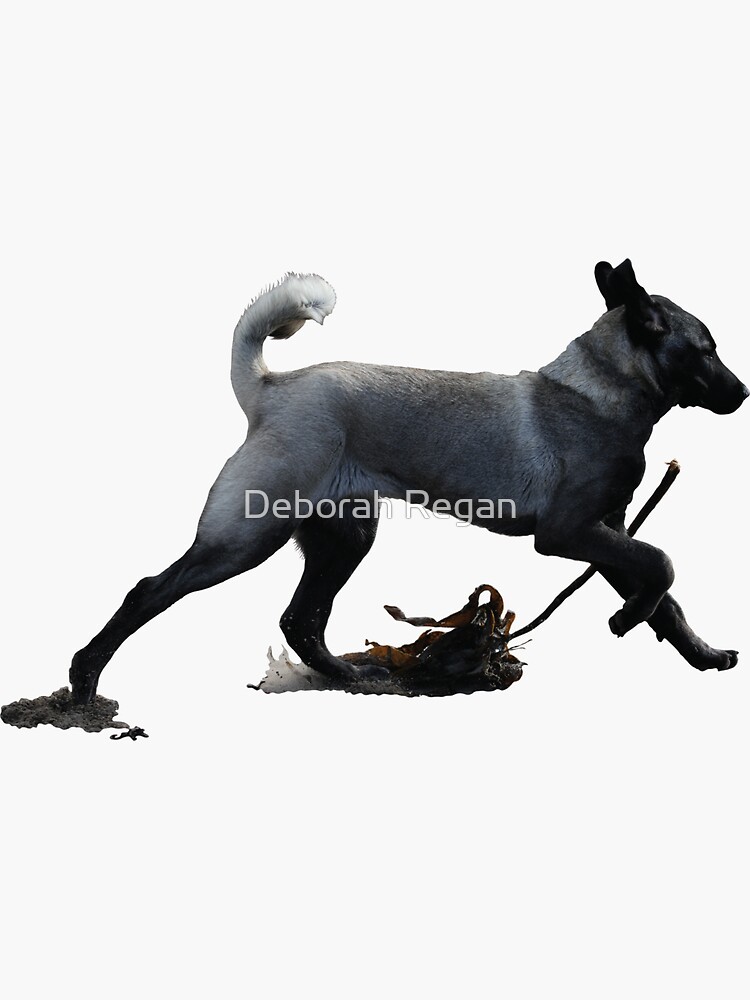 "kangal puppy by the name of rebel and her seaweed" Sticker by ReganArt ...