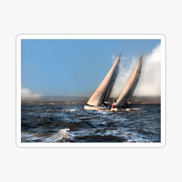 "Shadow Racing" Sticker for Sale by linaji | Redbubble