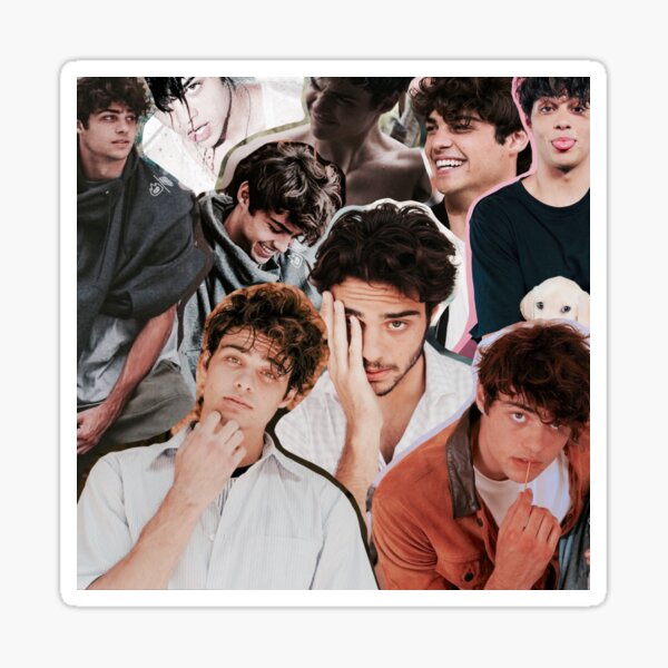 "Noah Centineo Collage" Sticker for Sale by effsdraws | Redbubble
