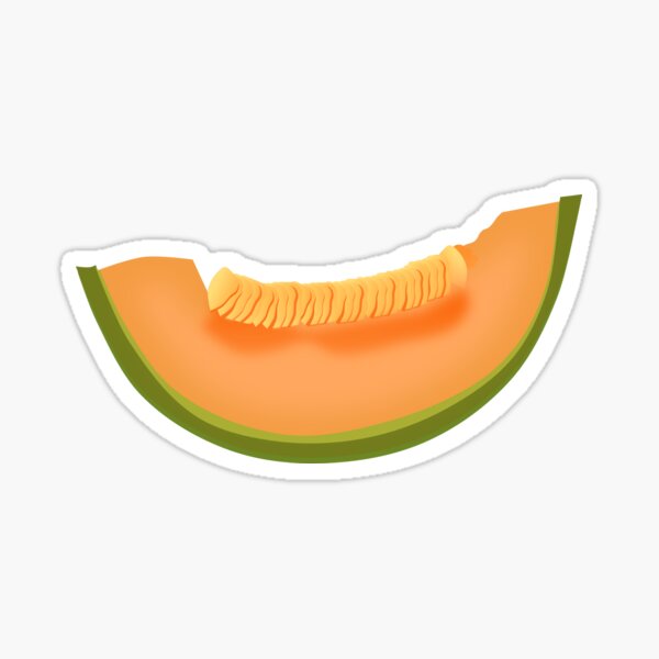 "melon" Sticker for Sale by dongila5 | Redbubble