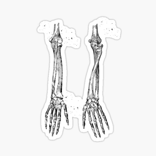 "Arm Bones" Sticker for Sale by erzebetth | Redbubble