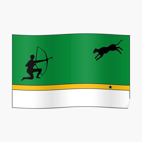 Póster «Bandera del departamento de Amazonas» de wickedcartoons | Redbubble
