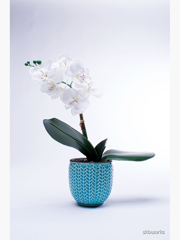 "Flower High Key Lighting Photography" Photographic Print for Sale by ...