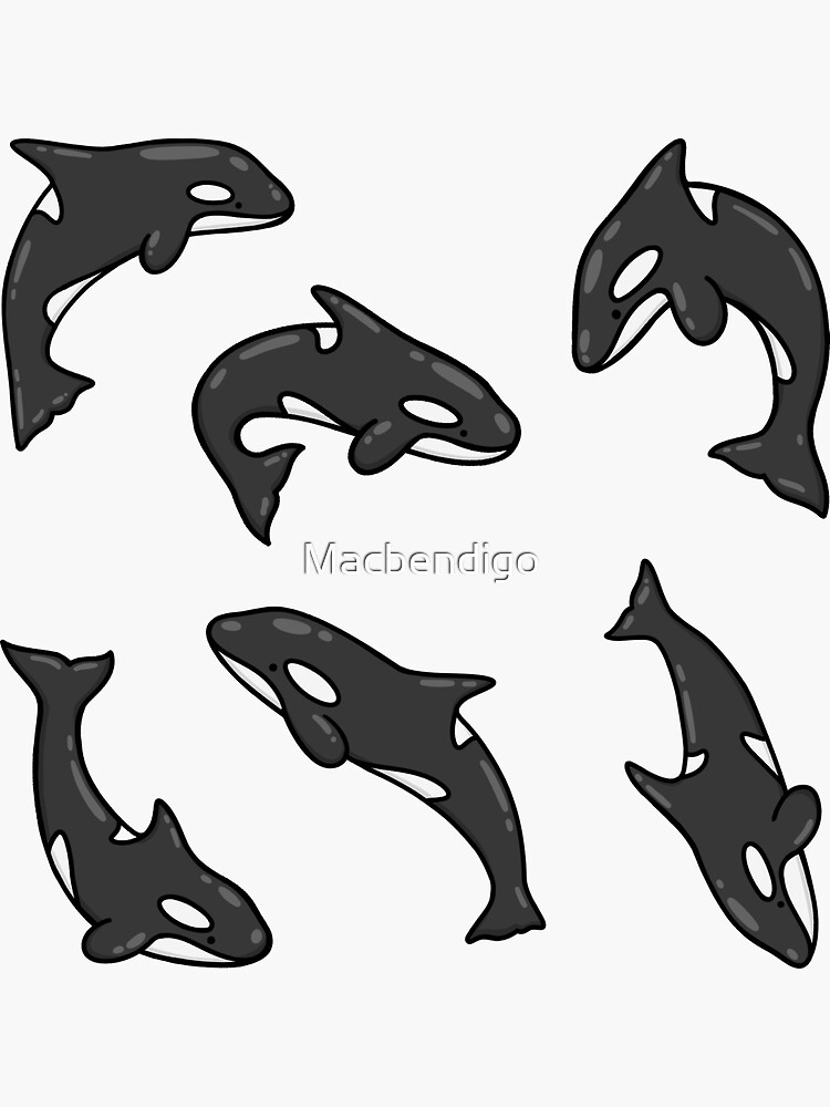 "Orca Pattern" Sticker for Sale by Macbendigo | Redbubble