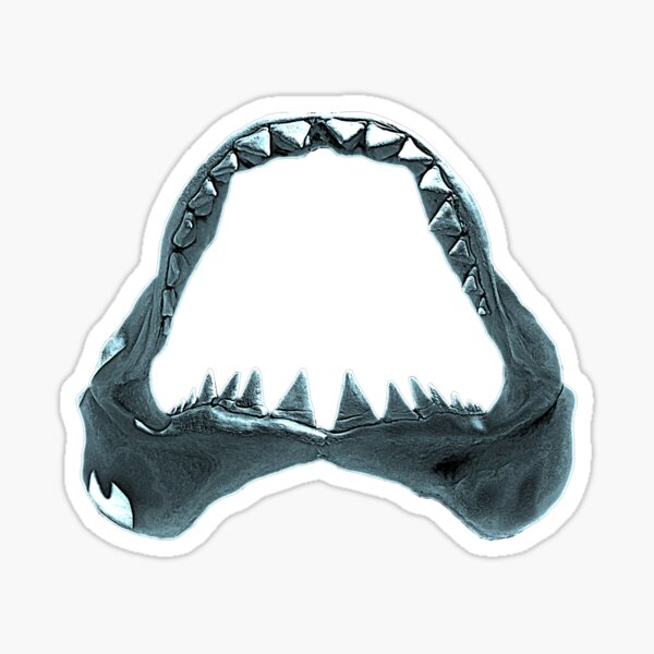 "X-Ray Shark Teeth" Sticker for Sale by S-Clarkson | Redbubble