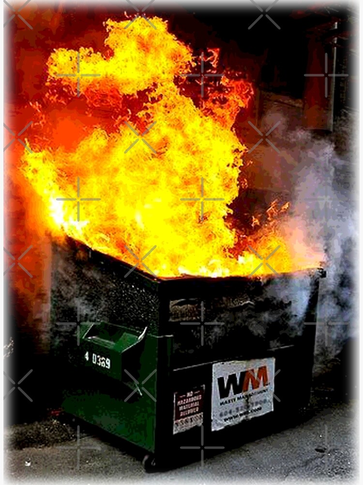 "Dumpster Fire" Canvas Print for Sale by racecar32 | Redbubble