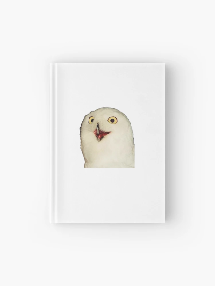 Oh Really Owl The Origin Of Memes — Dog The Cynic