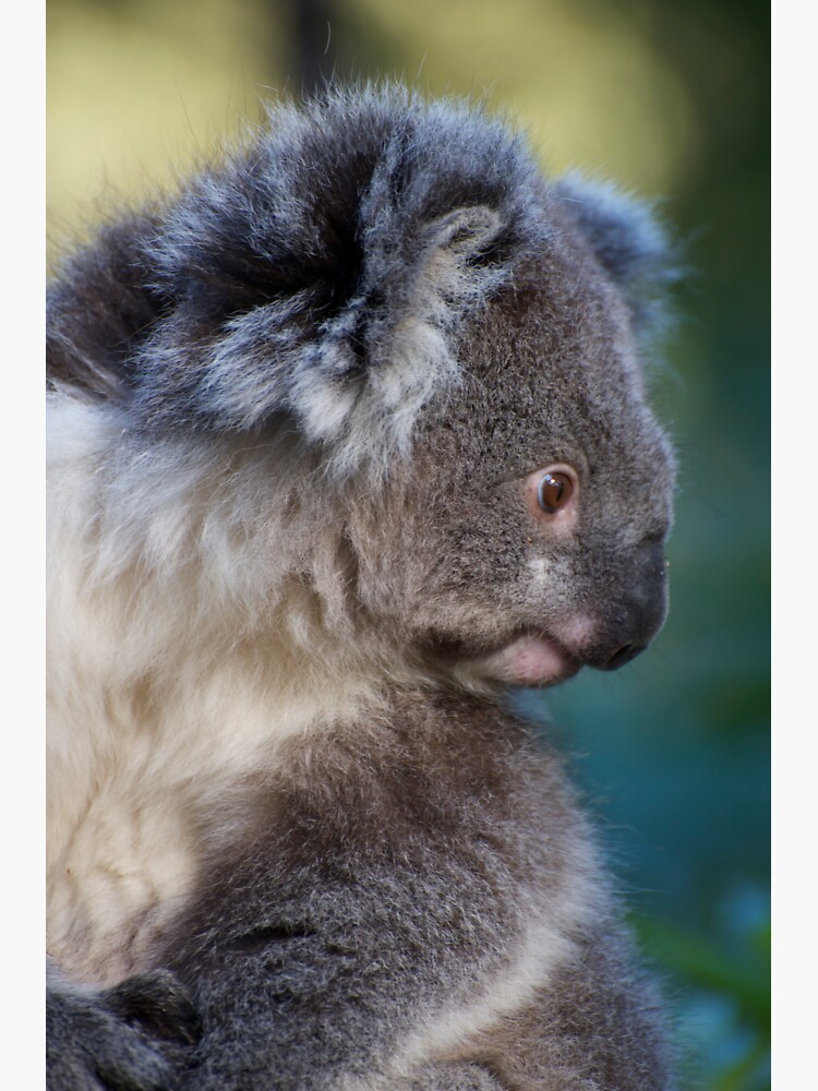 "This Is My Best Side" Sticker for Sale by GP1746 | Redbubble