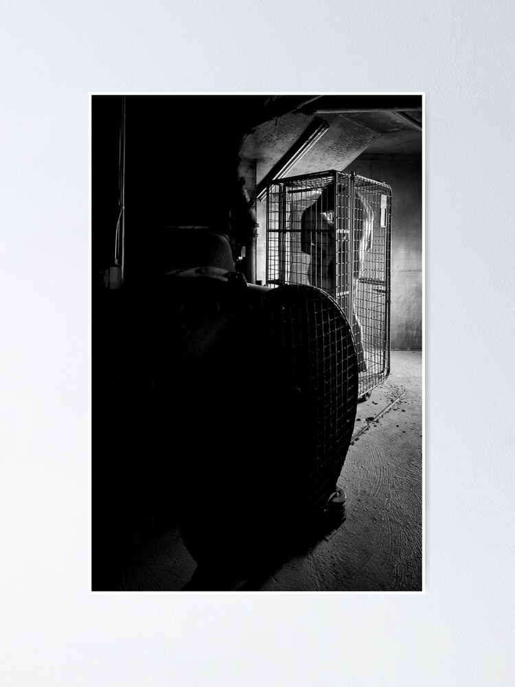 "The Rendevous II" Poster by pvillani | Redbubble