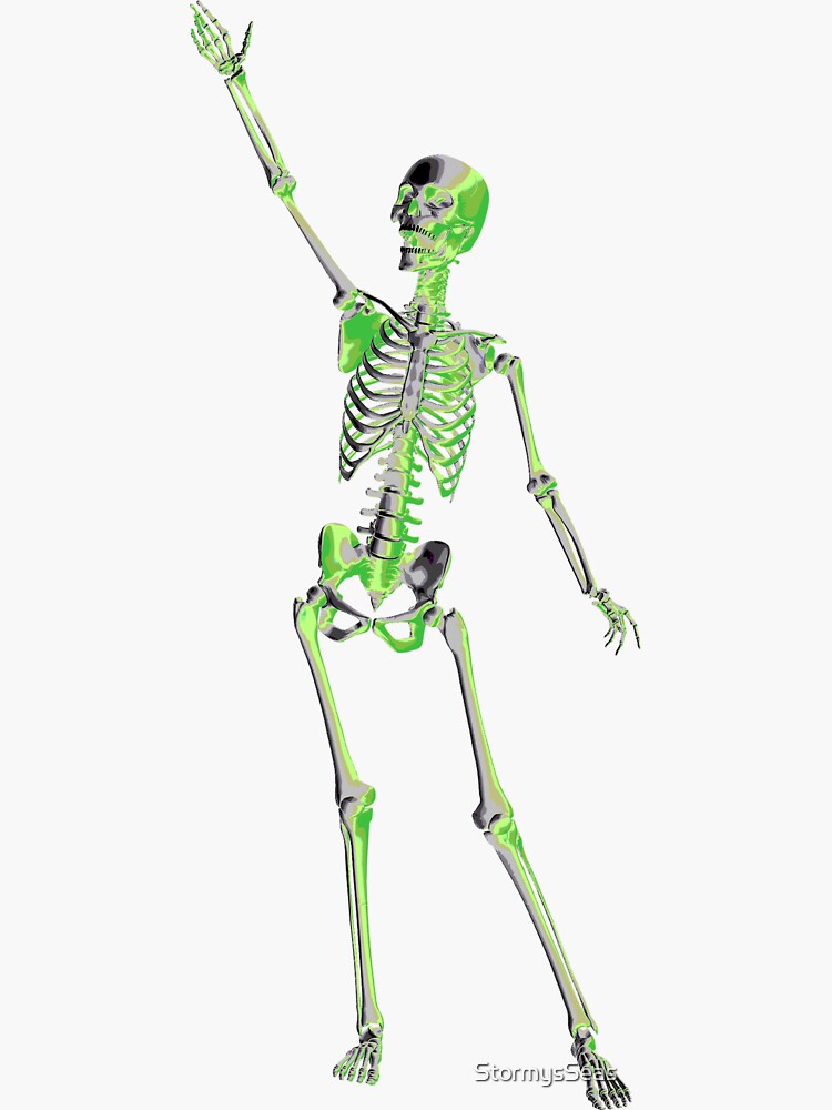 "Aromantic Pride Skeleton" Sticker for Sale by StormysSeas | Redbubble