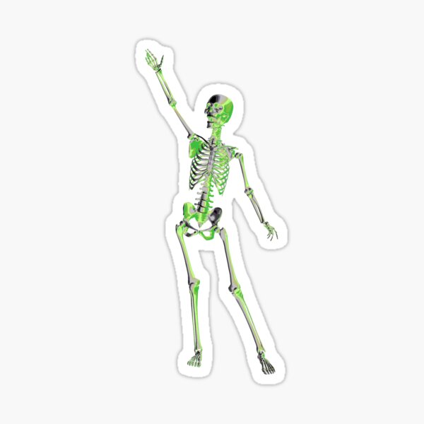 "Aromantic Pride Skeleton" Sticker for Sale by StormysSeas | Redbubble