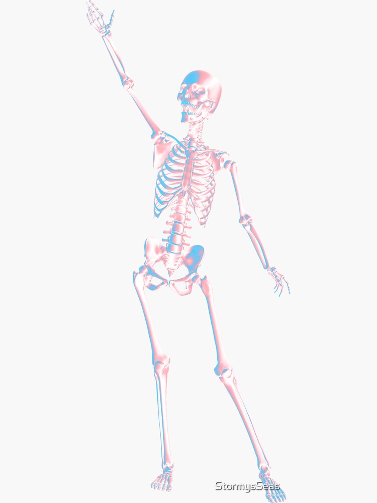 "Transgender Pride Skeleton" Sticker for Sale by StormysSeas | Redbubble