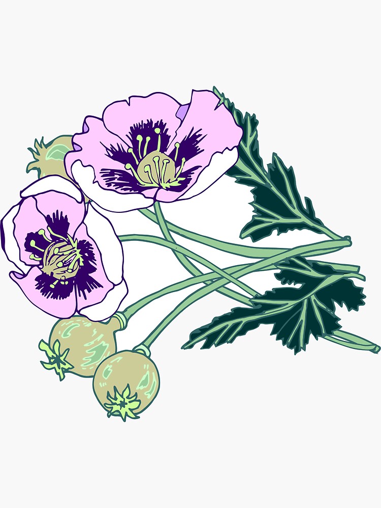 "Opium Poppies" Sticker for Sale by napiform | Redbubble