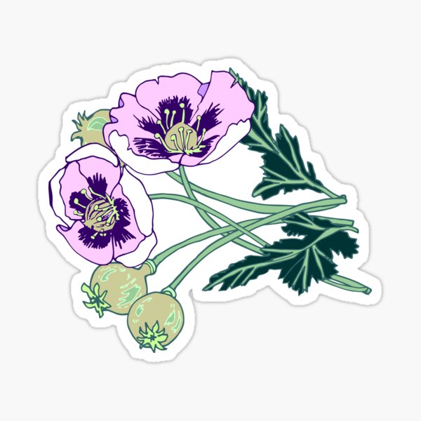 "Opium Poppies" Sticker for Sale by napiform | Redbubble