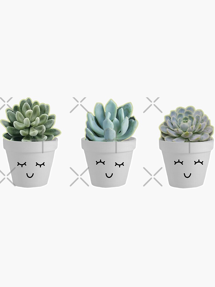 "Three Smiling Succulents" Sticker by amarie98 | Redbubble