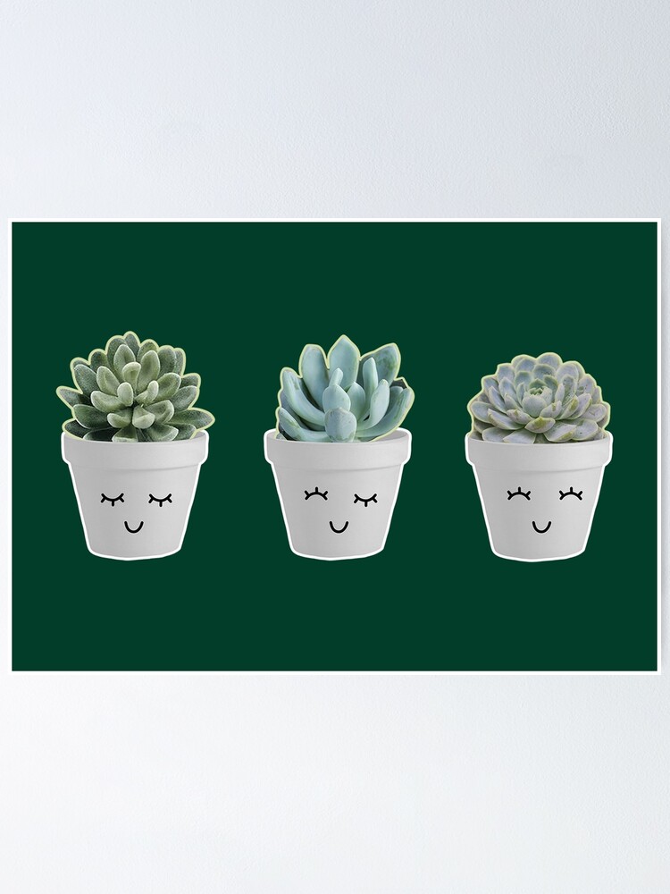 "Three Smiling Succulents" Poster for Sale by amarie98 | Redbubble