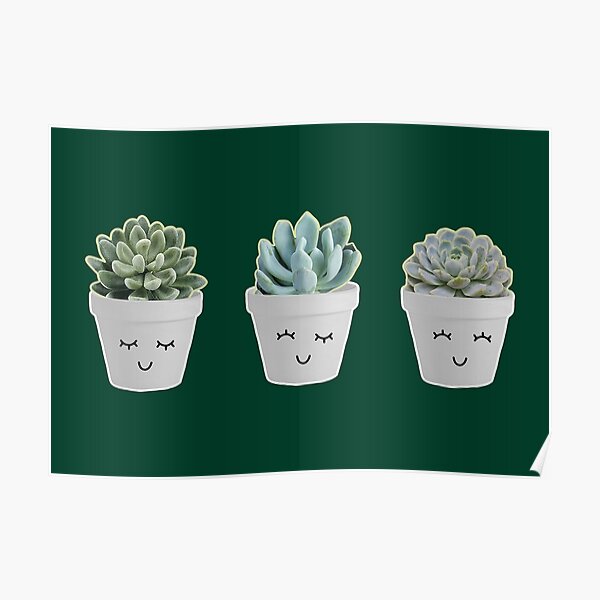 "Three Smiling Succulents" Poster for Sale by amarie98 | Redbubble