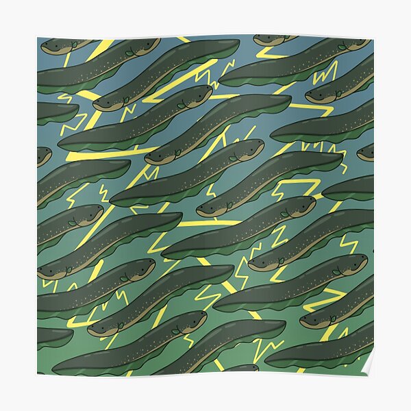 "Electric Eel Pattern" Poster by Macbendigo | Redbubble