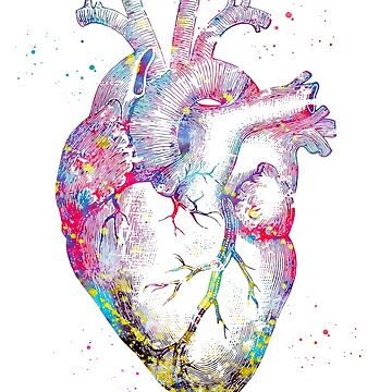 Sticker for Sale avec l'œuvre « Cœur humain » de l'artiste erzebetth ...