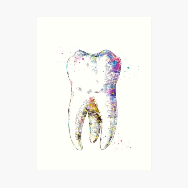 " Human tooth" Art Print for Sale by erzebetth | Redbubble
