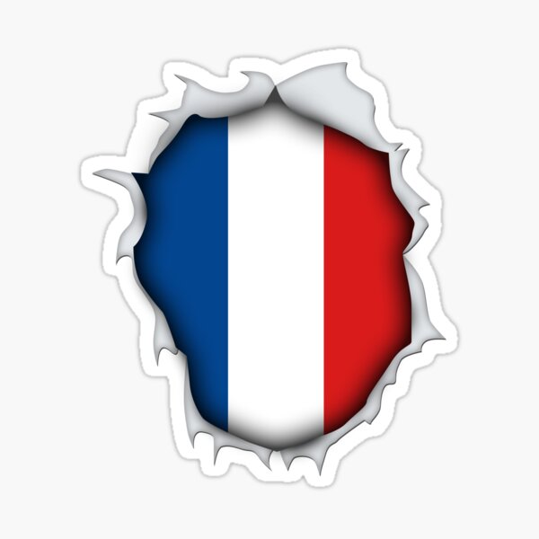 "France flag" Sticker for Sale by Lukudili | Redbubble