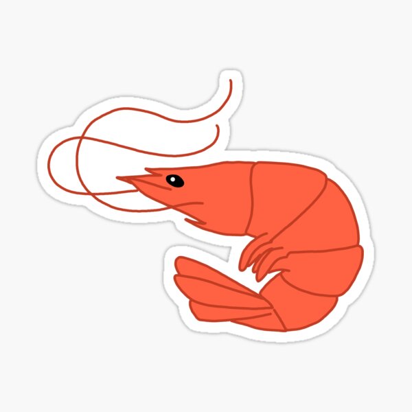 Shrimp Prawn Stickers | Redbubble
