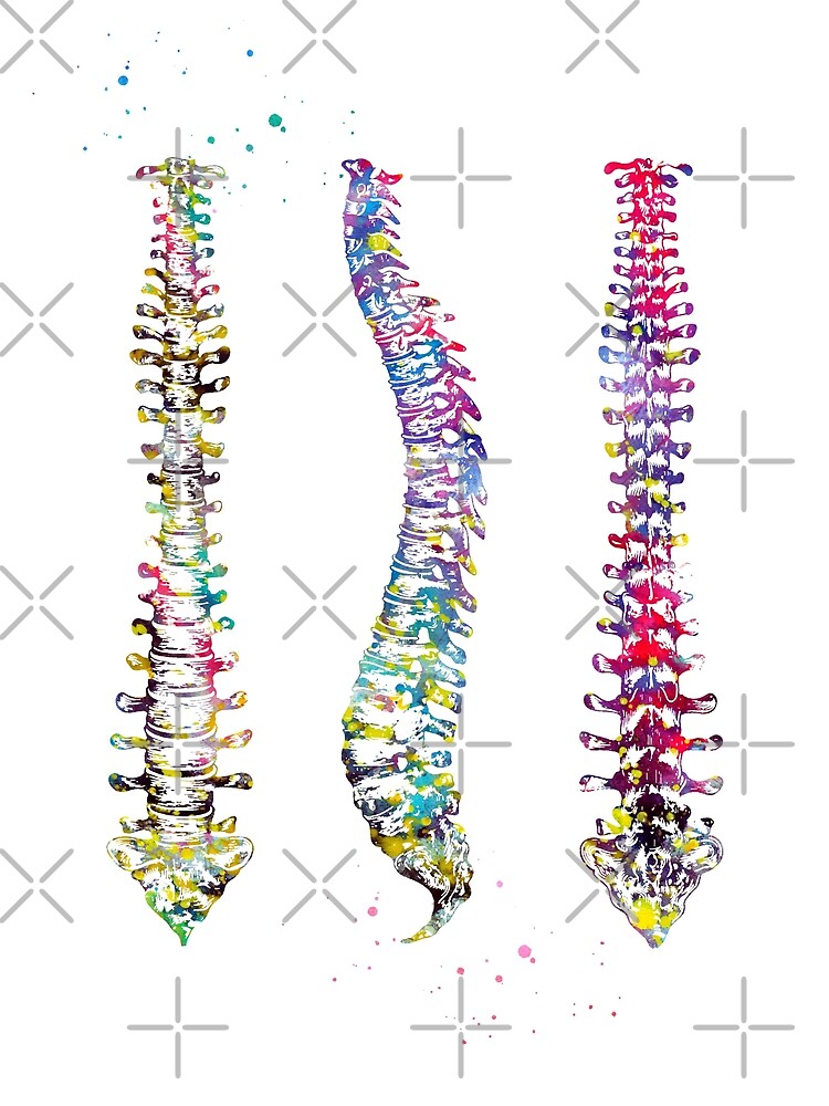 "Human Spine" Art Print for Sale by erzebetth | Redbubble