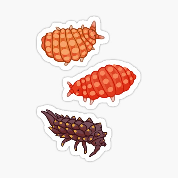 "Neanuridae" Sticker for Sale by tidewilds | Redbubble