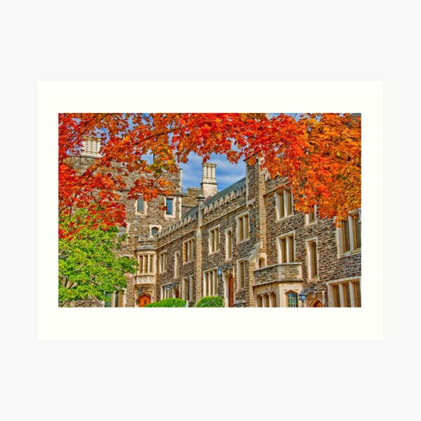 Princeton University Wall Art | Redbubble