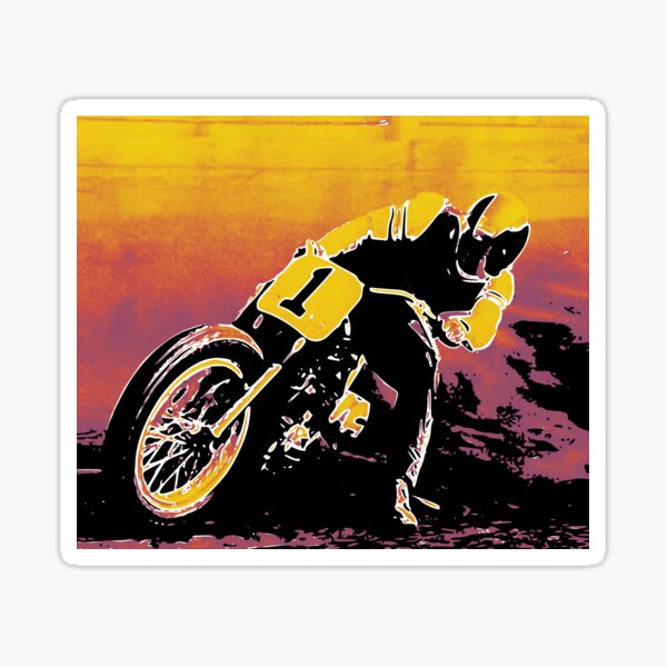 "Flat Track" Sticker for Sale by littledoodlecat | Redbubble